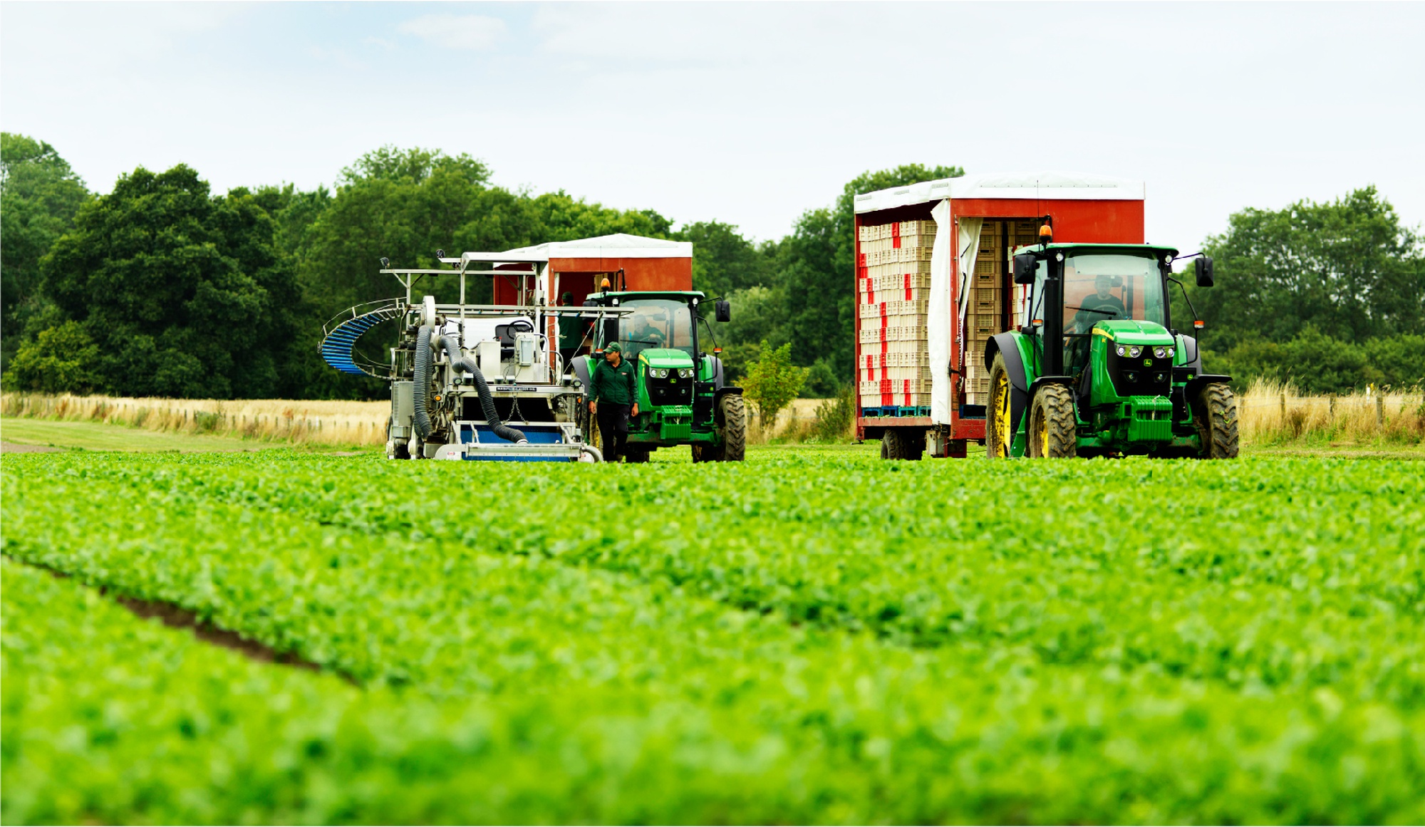 Vitacress Limited | Grupo RAR